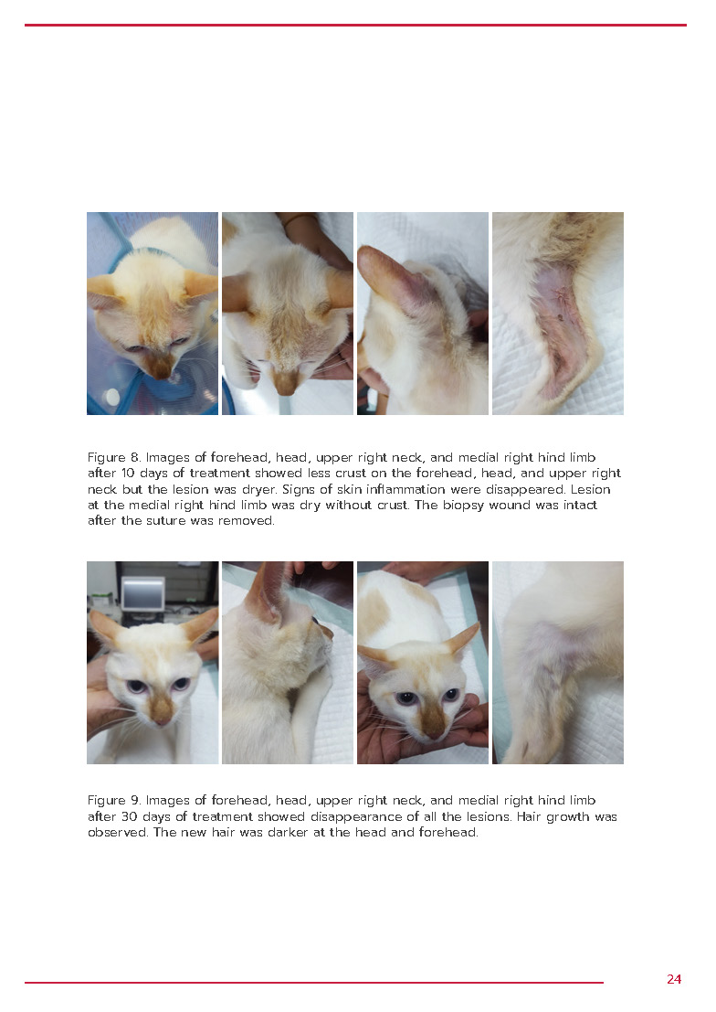 Use of PCSO-524® (Antinol)® for treatment of Obsessive-Compulsive ...